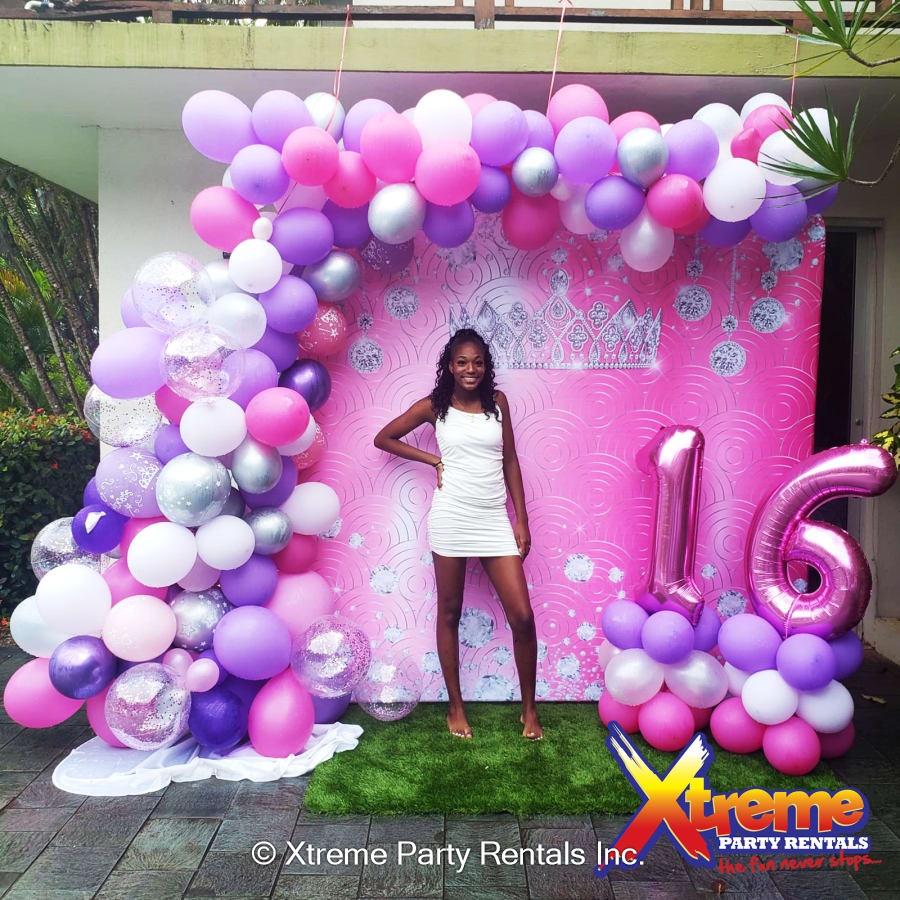 8ft x 8ft Princess Silver Crown Backdrop - Bouncy Castle & Party ...